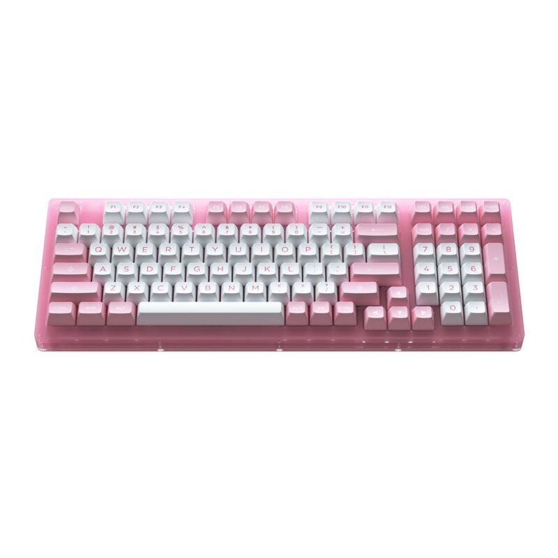 Bàn phím cơ AKKO ACR98 Pink (Hotswap / RGB / AKKO CS sw Jelly Pink ...
