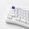 Bàn phím AKKO ACR Pro Alice Plus (Spray Painted White / RGB / Hotswap ...