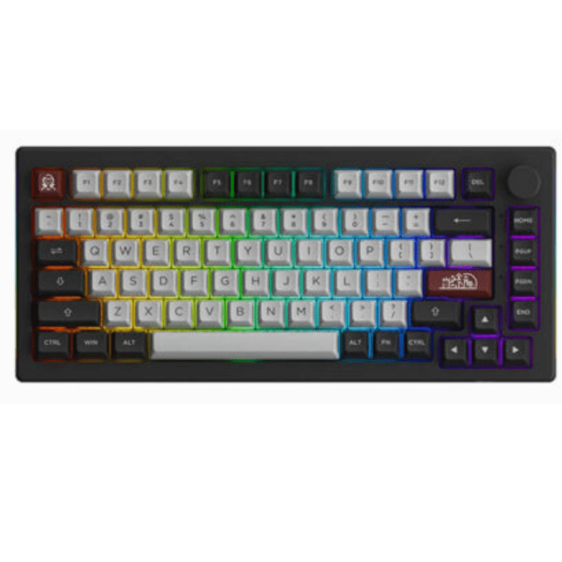 Bàn phím cơ AKKO 3098 NEON ( USB Type c/ Led Rainbow/ ASA Profile ...