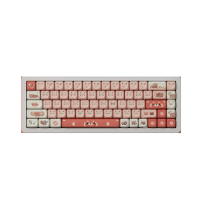 AKKO Keycap set – Raccoon MAO (PBT Dye-subbed / MAO profile / 142 nút ...