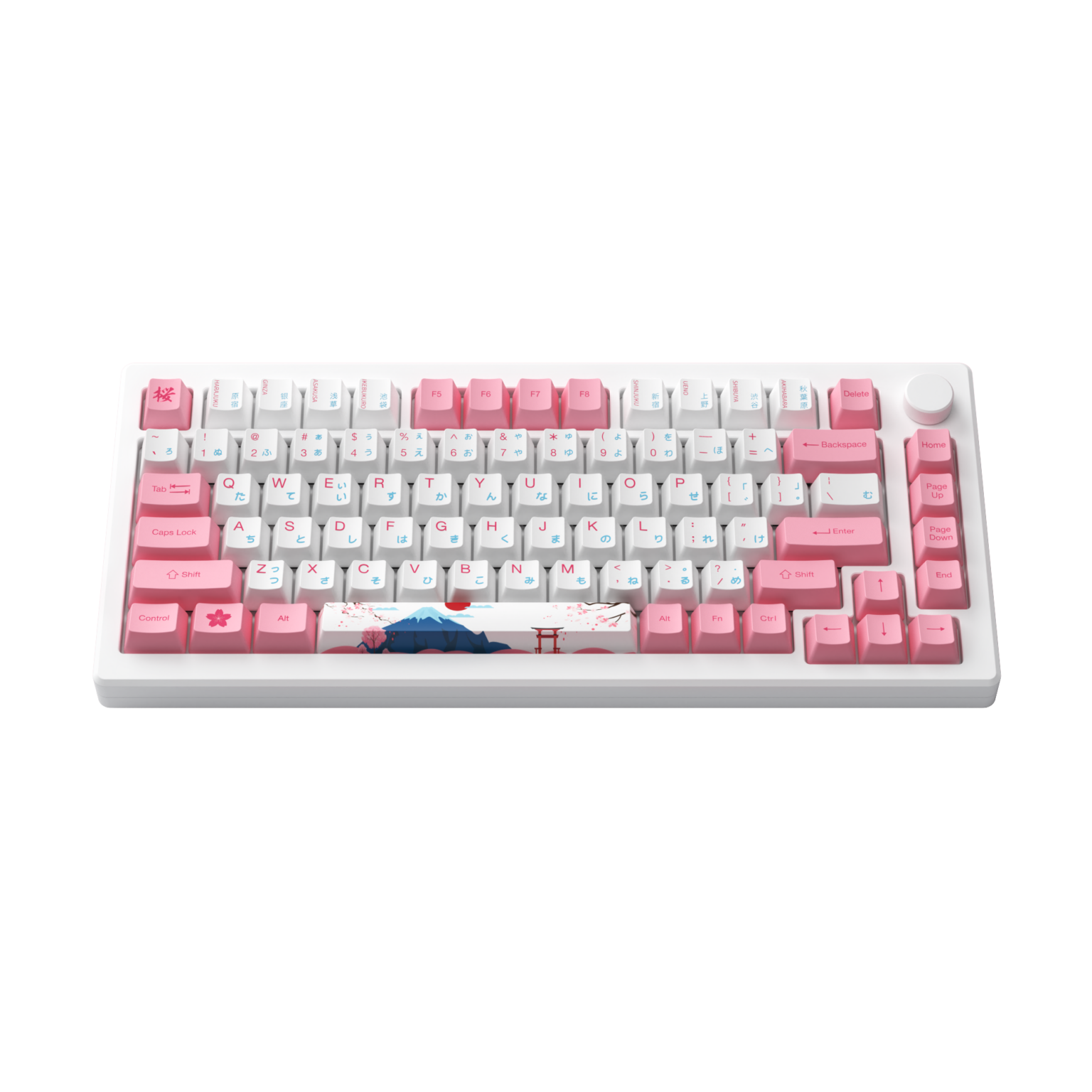 🎁🎁🎁Tặng quạt tản nhiệt 529k - Bàn phím AKKO MOD007B-HE PC Tokyo Sakura ...